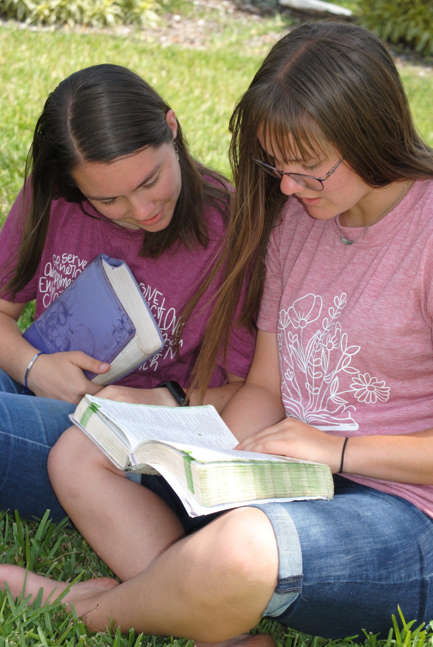 One Year, One Journey: A Guide to Reading the Bible in 365 Days - The ...