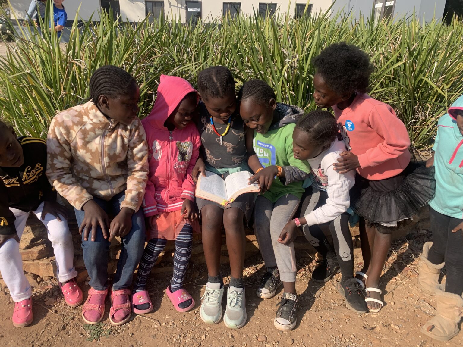 Summer Reading Plan - Bible Edition - The Biblically Minded Family